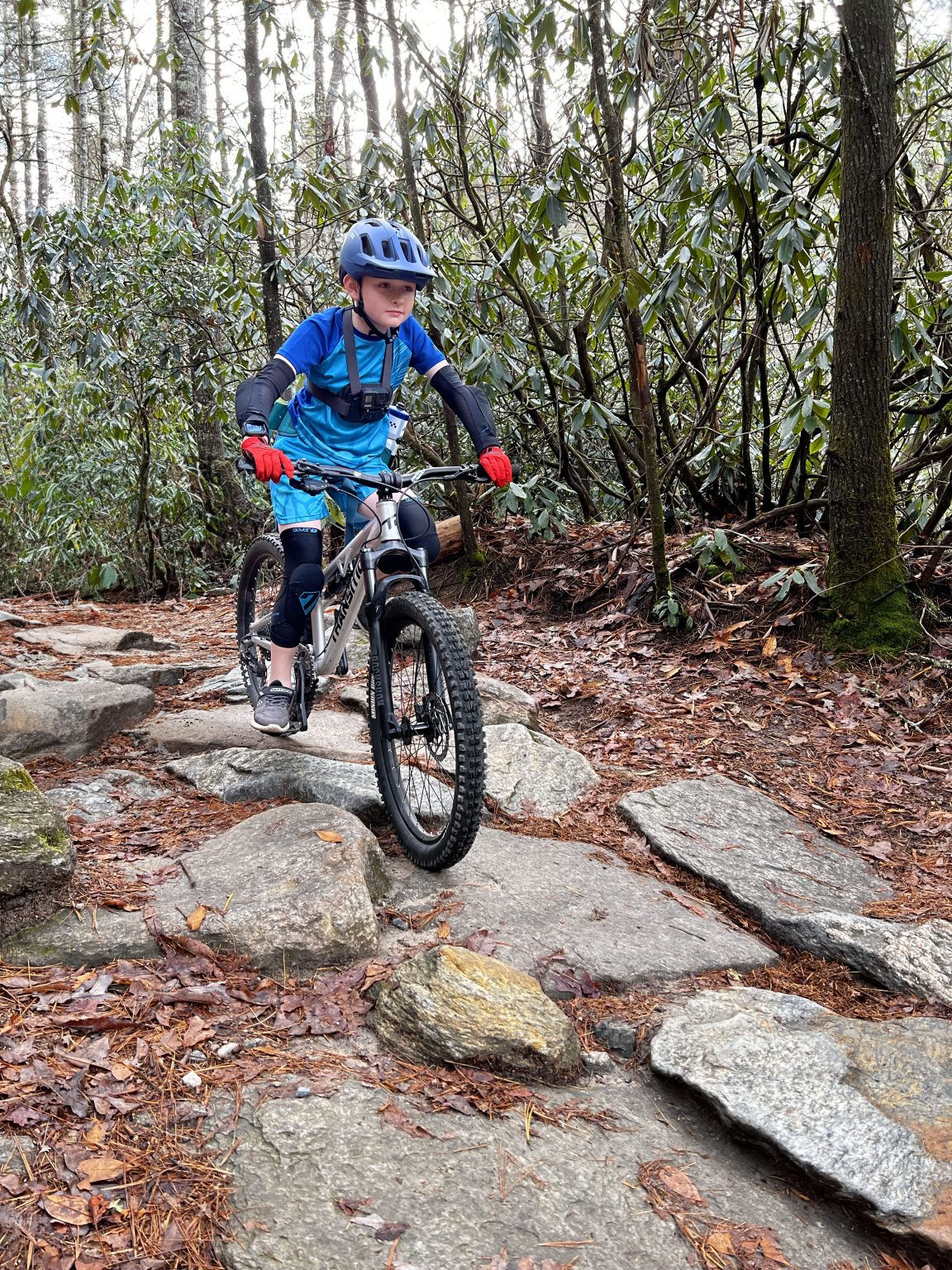 Portfolio - Ivan Windon Photography